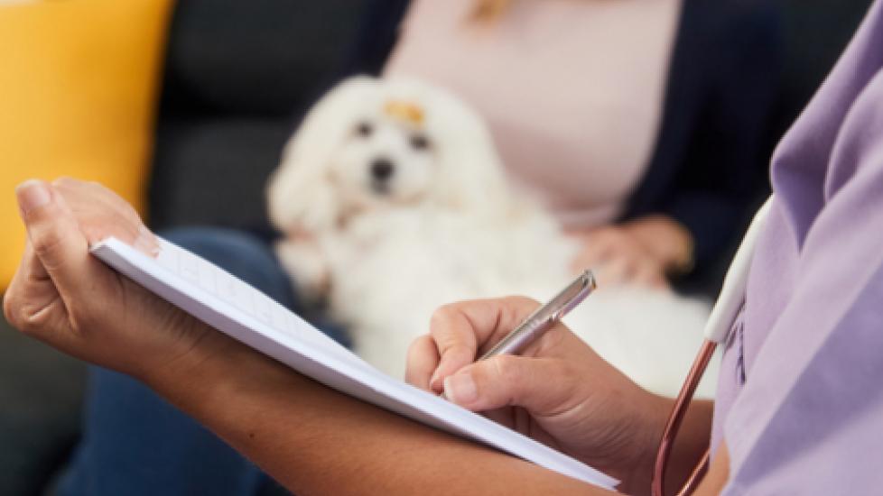 Medical Privacy for Pets | PetMD