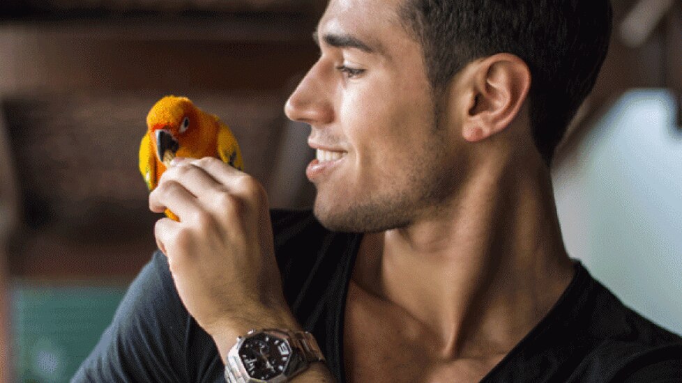Shoulder Training Birds | PetMD