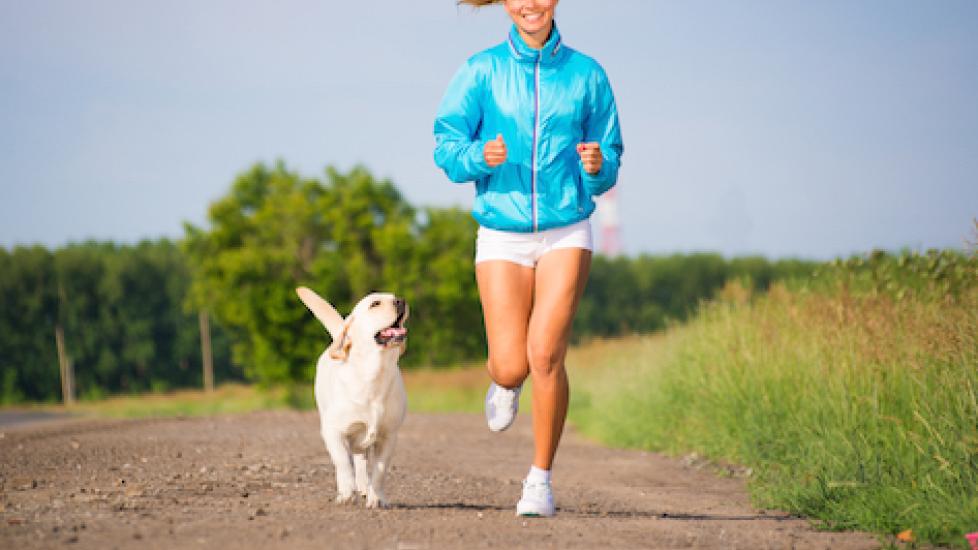 6 Exercises You Can Do With Your Dog | PetMD