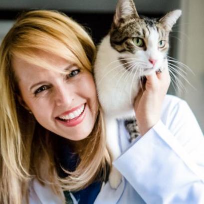 What’s the Average Healthy Cat Weight? | PetMD