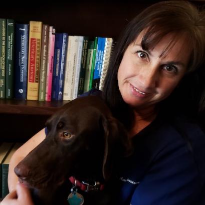 6 Things to Know About Flea Dips for Dogs | PetMD