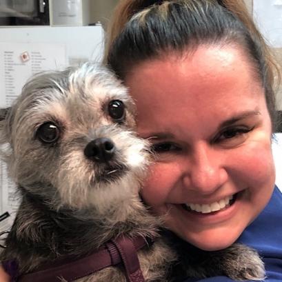 Diabetic Ketoacidosis in Dogs | PetMD