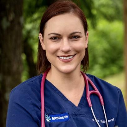 Heartworm | PetMD