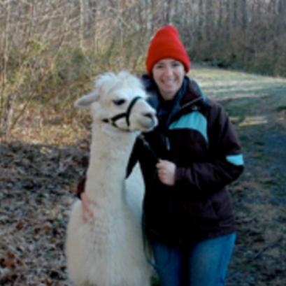 Fistulated Cows - the Saints of the Animal World | Healing Sick Cows ...