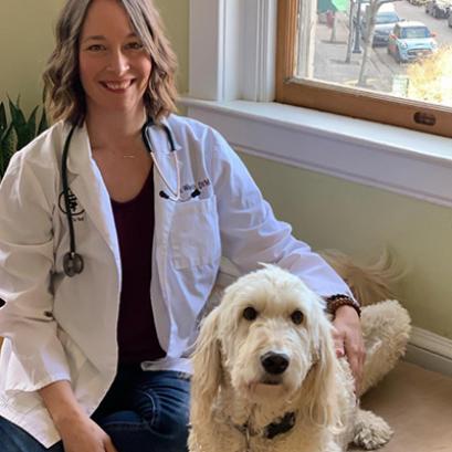 How Do Cats Sweat? | PetMD