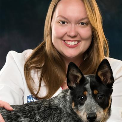 IMHA (Immune-Mediated Hemolytic Anemia) in Dogs | PetMD