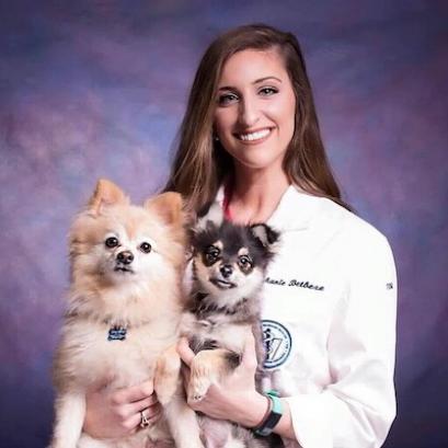 Do Cats Burp? | PetMD