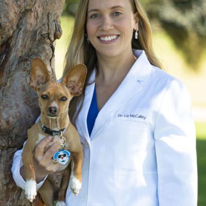 Dr. Elizabeth McCalley | PetMD Vets
