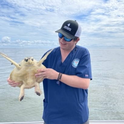 Frog Care 101 | PetMD