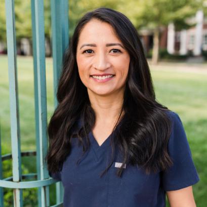 Mountain Cur Dog Breed Health and Care | PetMD