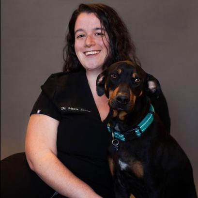 Pet Toad Care Sheet | PetMD