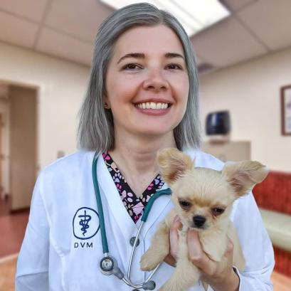 Bacterial Skin Infections (Pyoderma) in Cats | PetMD